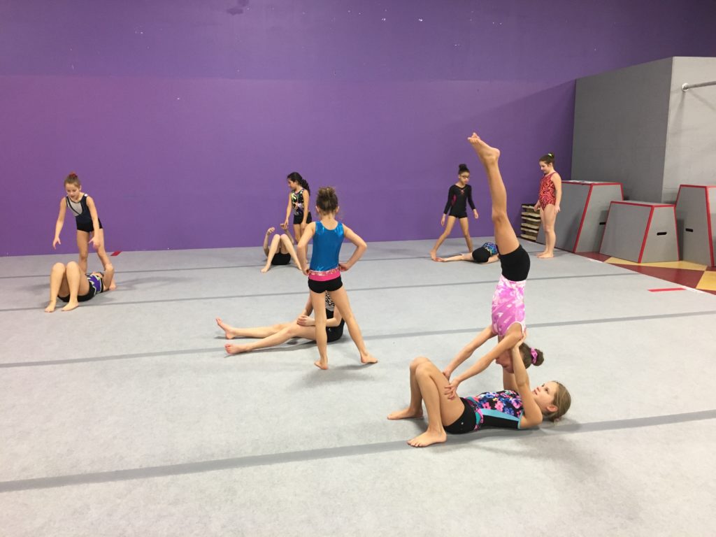 Recreational Programs » Edmonton Acrobatic Gymnastics